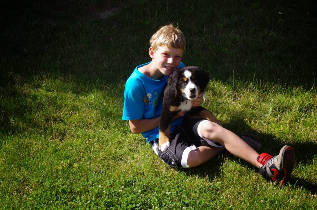 The Story of Molly - The Berner Report