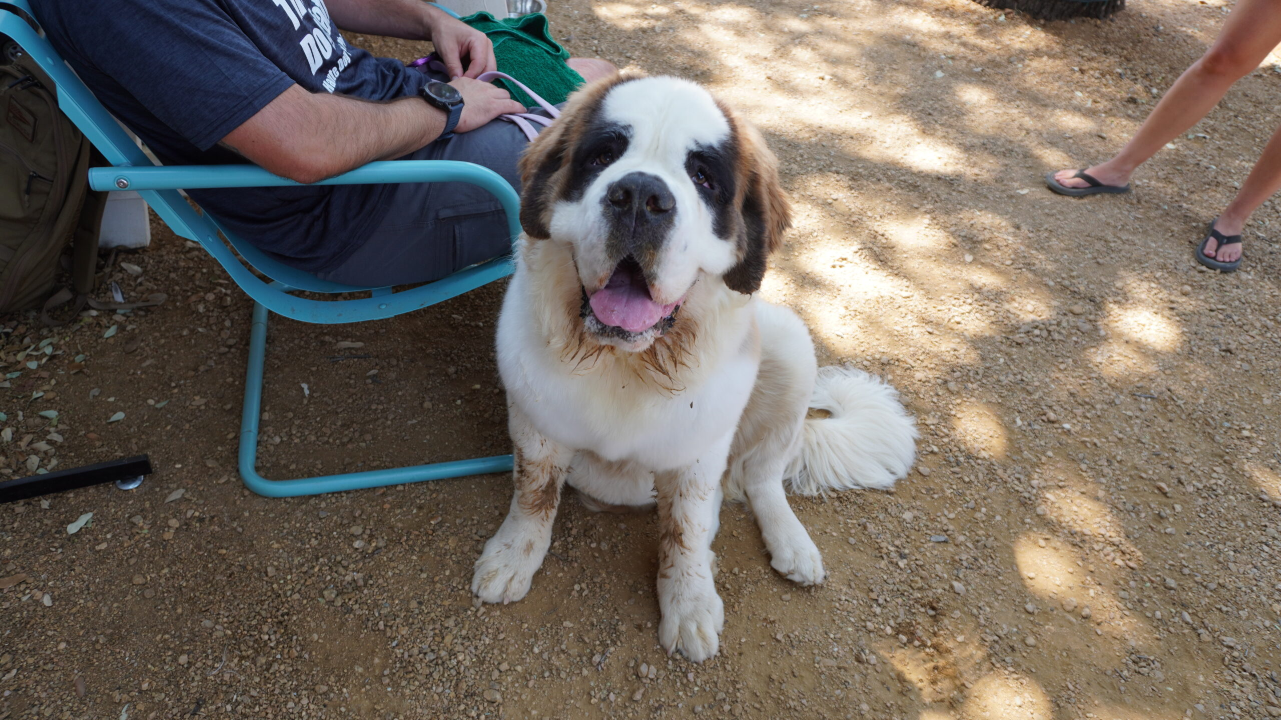 The Berner Report - The Berner Report