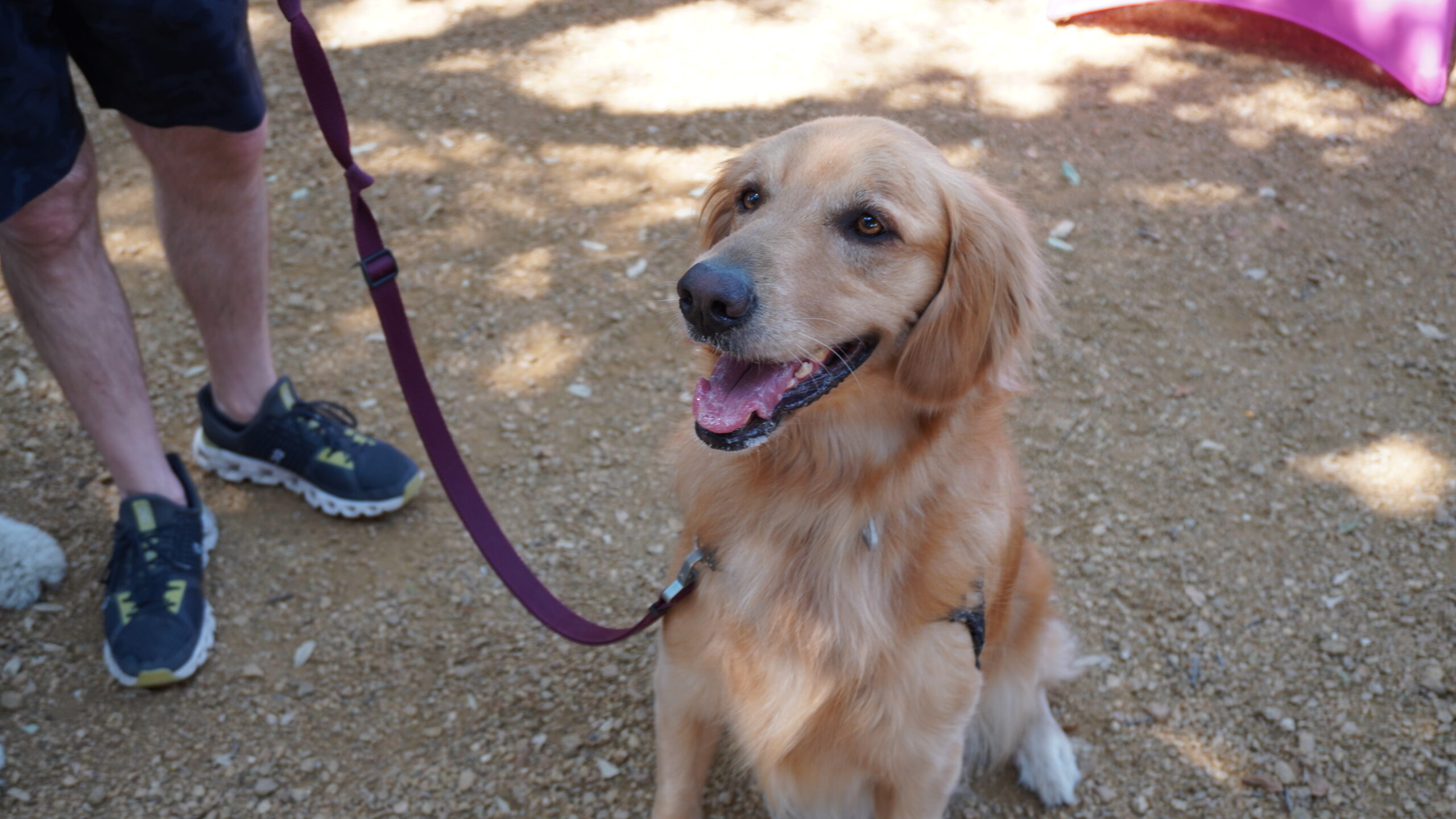 The Berner Report - The Berner Report