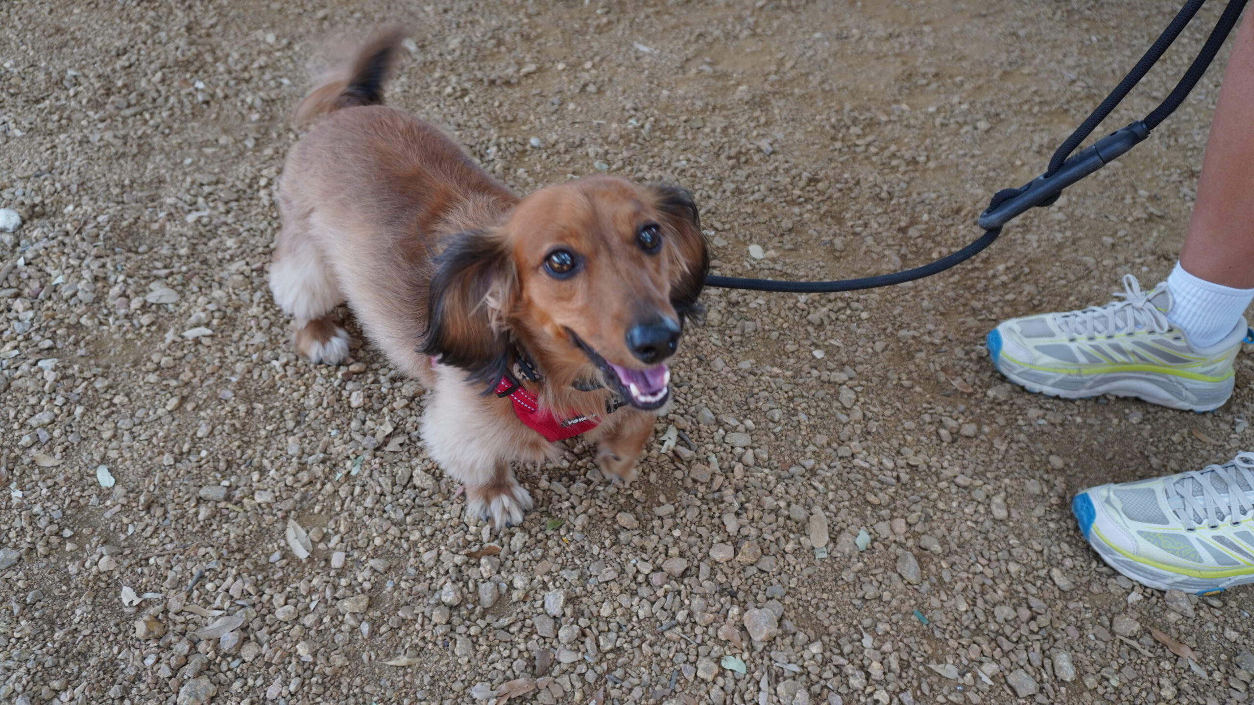 The Berner Report - The Berner Report