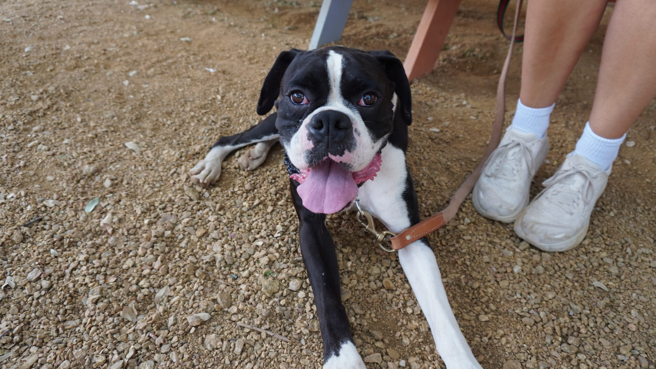 The Berner Report - The Berner Report