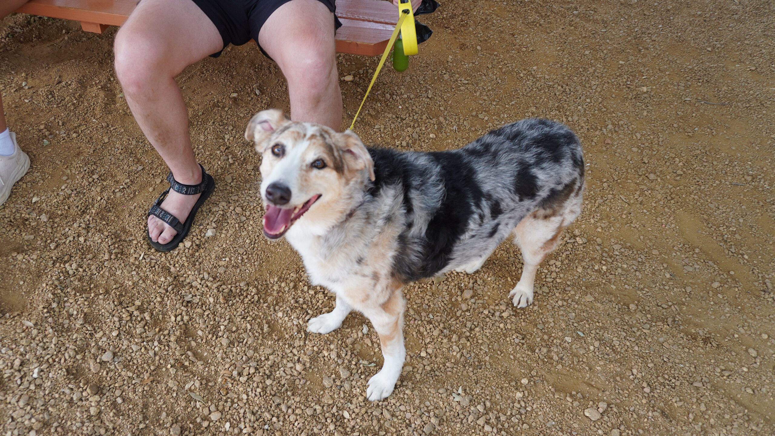 The Berner Report - The Berner Report