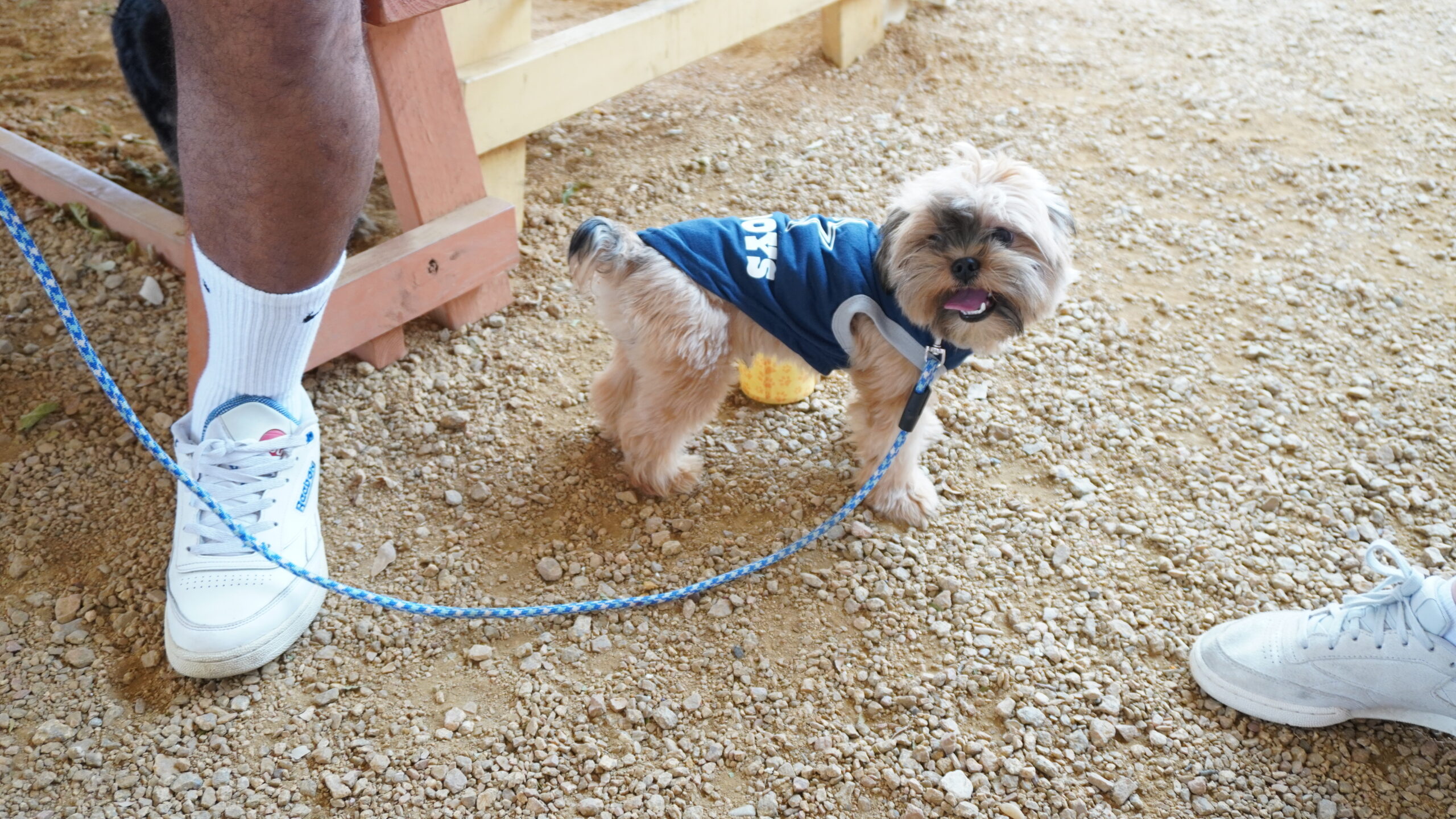 The Berner Report - The Berner Report