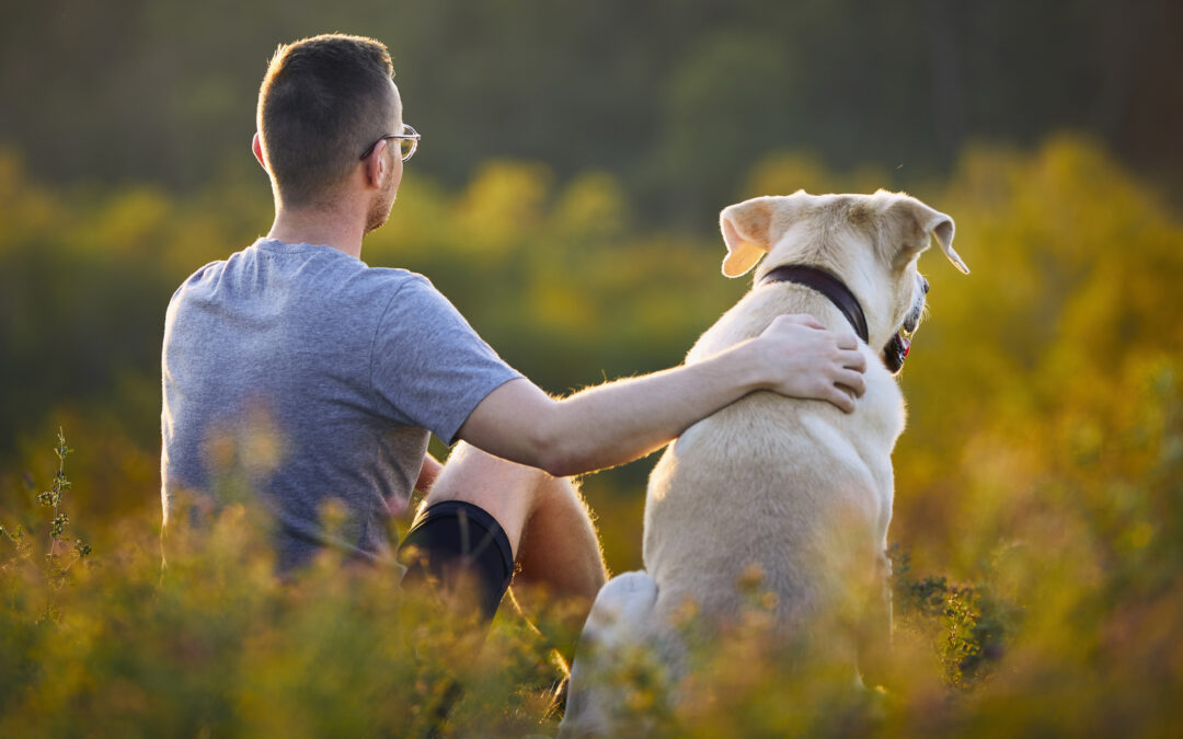 The Berner Report - The Berner Report