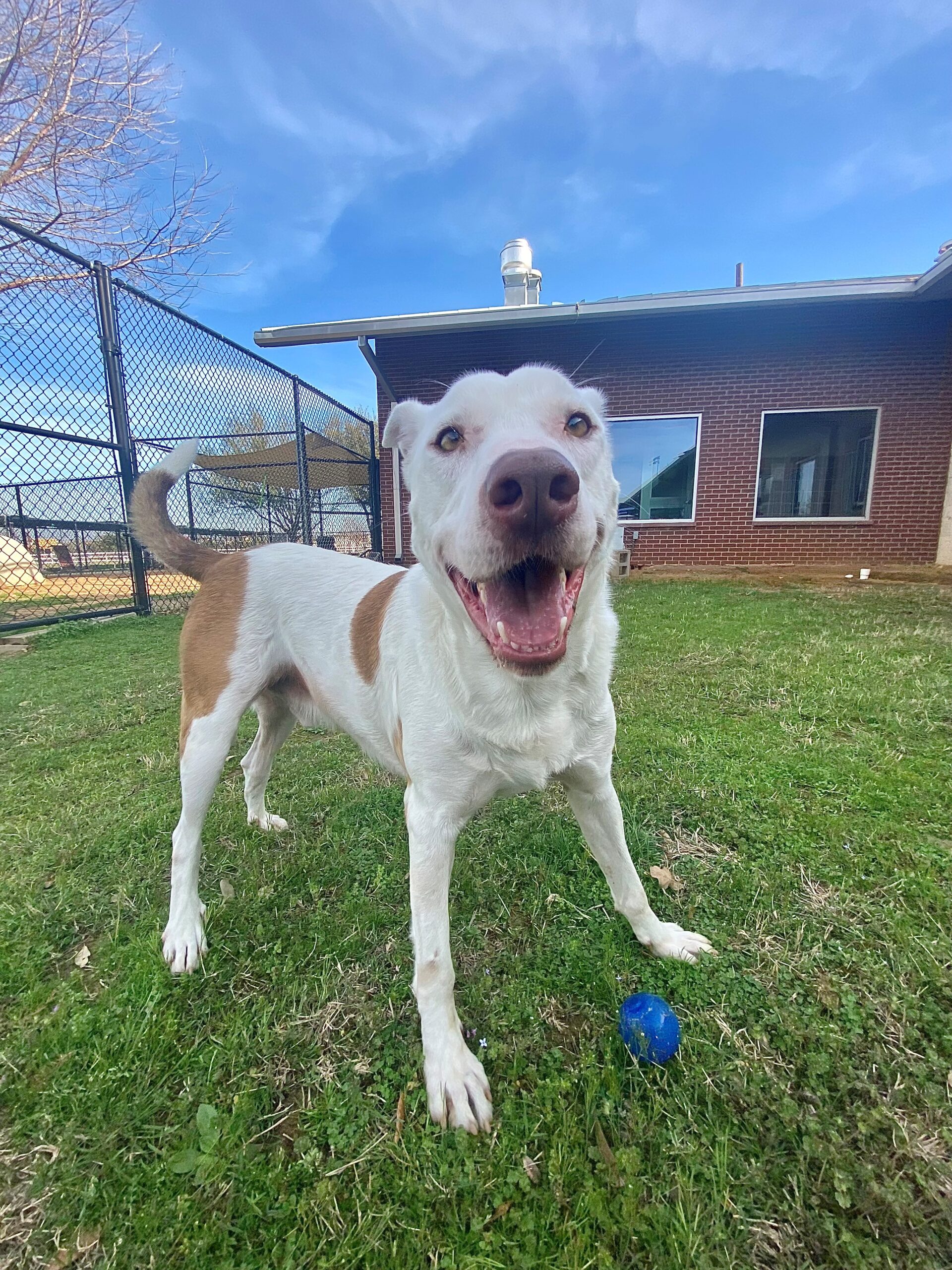 Meet Byro! - The Berner Report