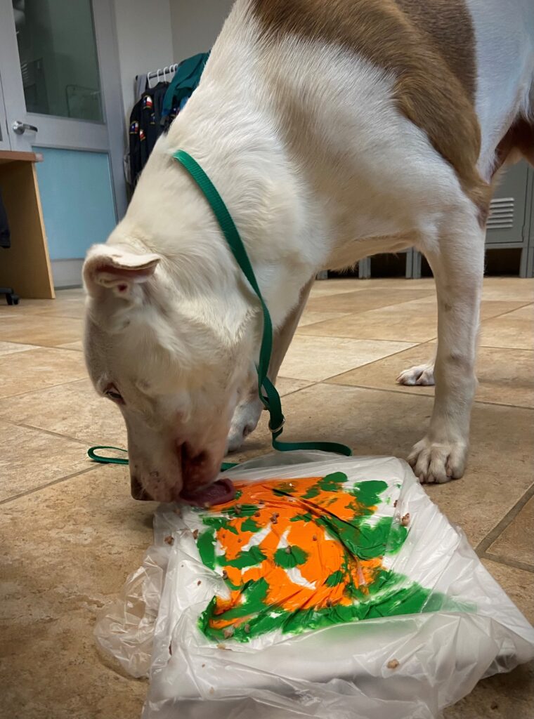 Meet Byro! - The Berner Report