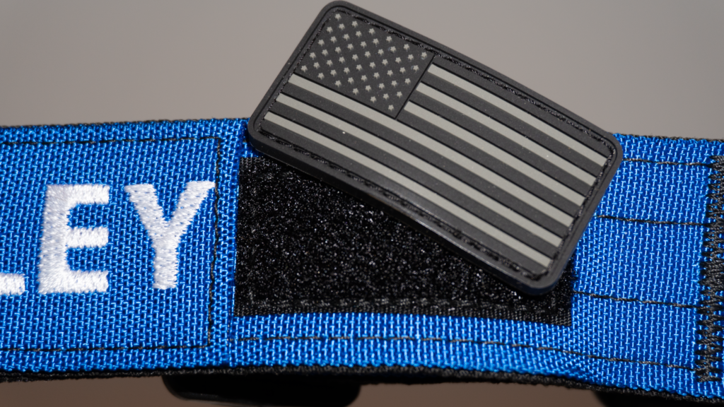 Tactipup Personalized Tactical Dog Collar Review - The Berner Report