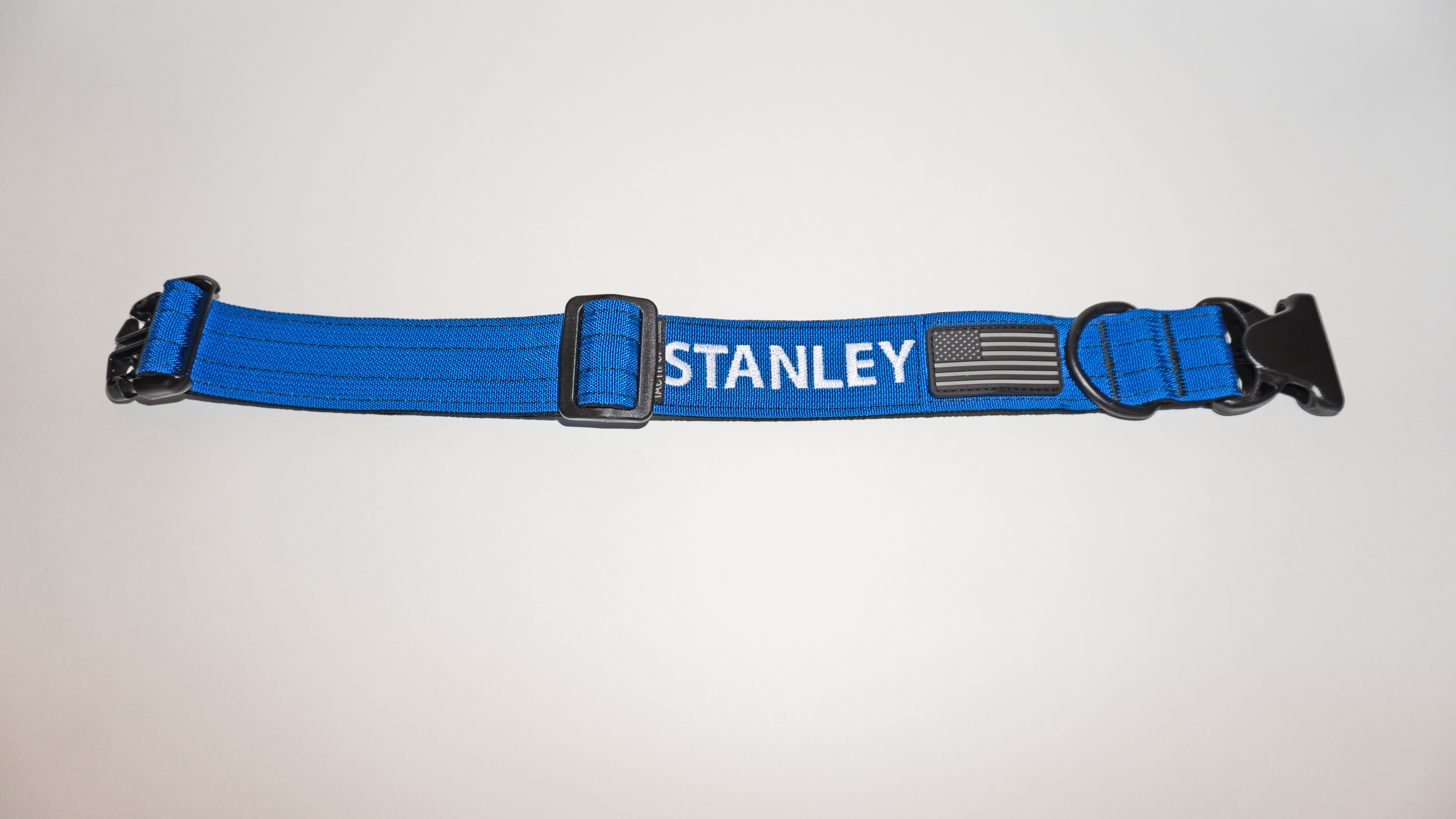Tactipup Personalized Tactical Dog Collar Review - The Berner Report