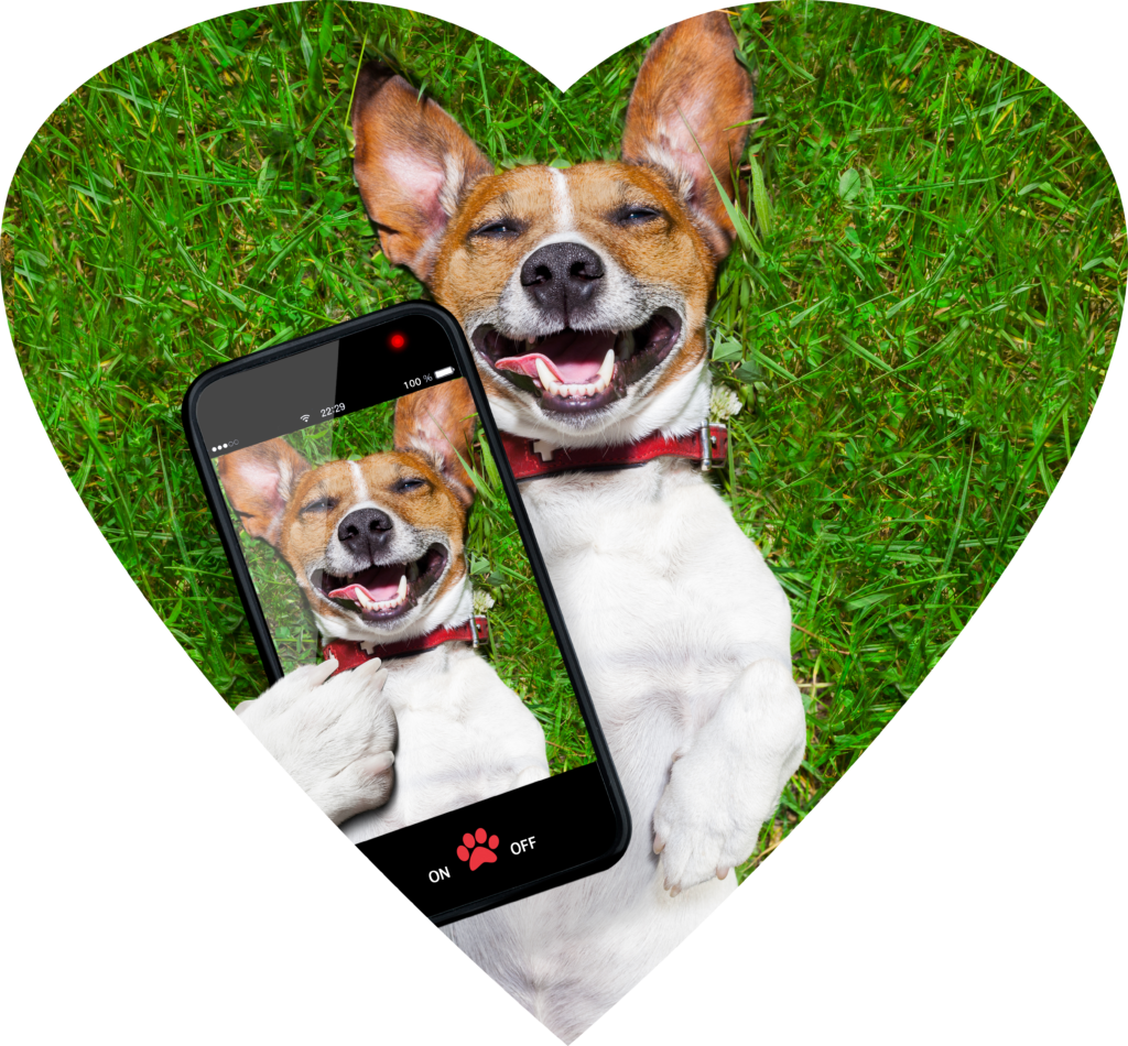 The Berner Report - The Berner Report