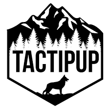 Tactipup Personalized Tactical Dog Collar Review - The Berner Report